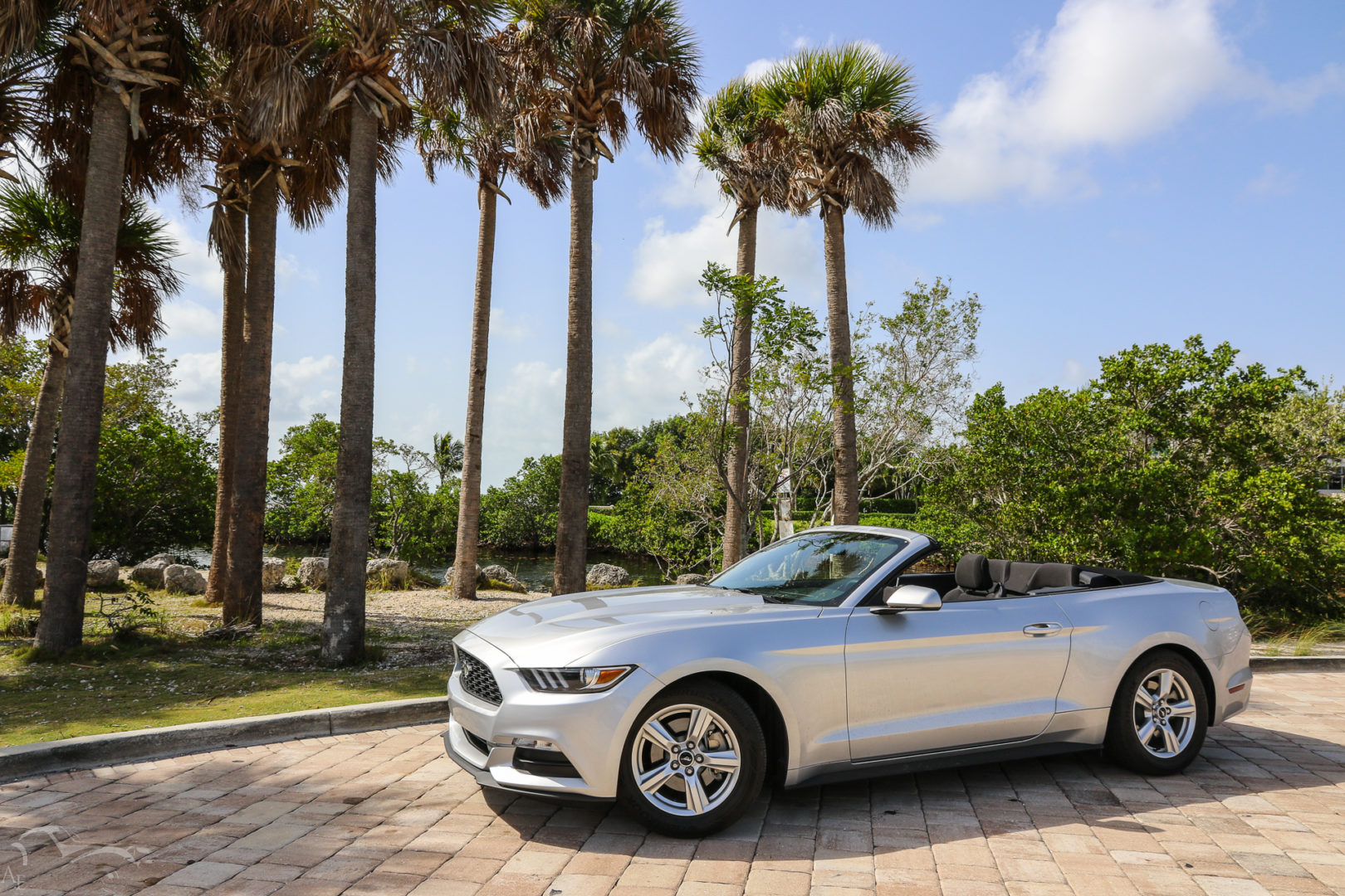 A Mustang in Miami - Automobili Eleganza - Cars, news and reports